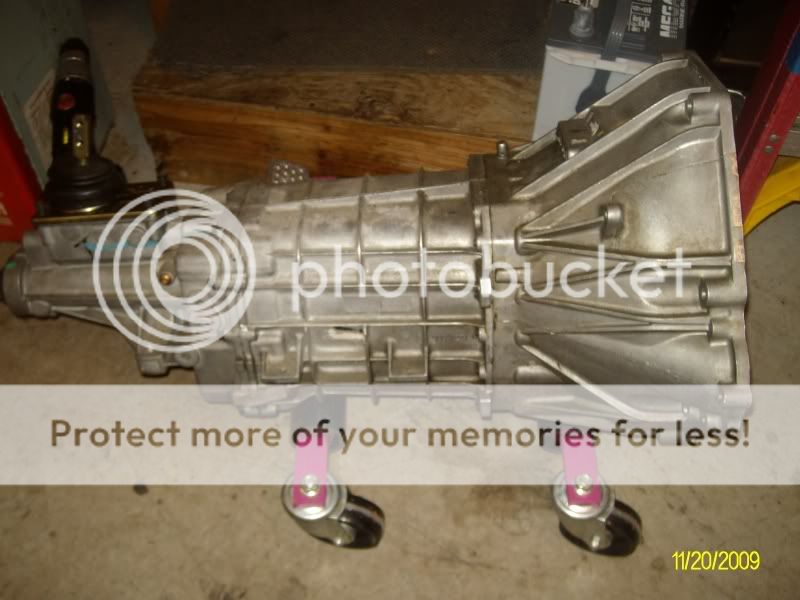 How to tell if I have T45 or 3650 | Mustang and Ford Performance Forums