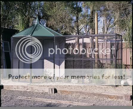 Octagonal Aviary with adjoining flight | Aussie Pythons & Snakes Forum