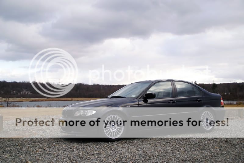 BMW style 73 rims | E46 Fanatics Forum