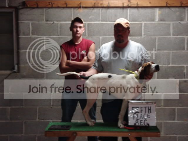 UKC Forums - Surry County Coon Club, Dobson NC Treeing walker sect ...