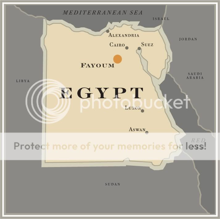 Egyptian Fayoumis info | BackYard Chickens - Learn How to Raise Chickens