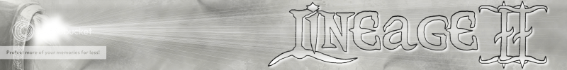 Lineage II banner by hallies on DeviantArt