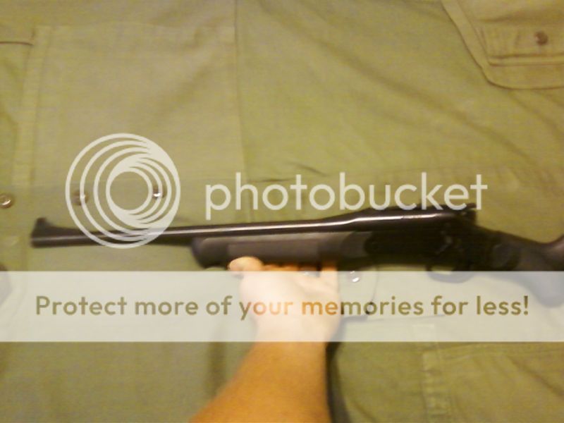 Aftermarket rear sights for a rossi youth .22? | Pirate 4x4