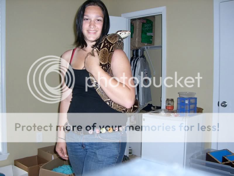 Comparing Samora and Daisy... :D - RedTailBoas Ultimate Reptile Community